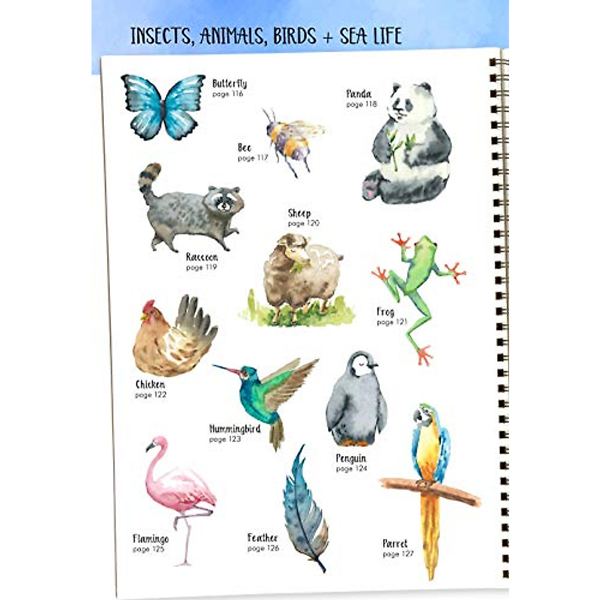 Watercolor Success in Four Steps: 150 Skill-Building Projects to Paint (Design Originals) Beginner-Friendly Step-by-Step Instructions & Techniques to Create Beautiful Paintings as Easy as 1-2-3-4