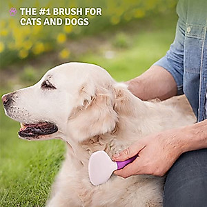 Poodle Pet Slicker Brush for Small and Large Dogs Pet Hair Remover | Effectively and Effortlessly Removes Tangles, Mats, and Loose Hair | for Short or Long Hair(Grooming Brush)