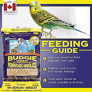 Parakeet/Budgie Staple Vme Seed, 6-Pound