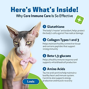 Pet Wellbeing Core Immune Care for Dogs & Cats - Daily Antioxidant Support for Pets of All Ages - Vet-Formulated - 3.7 oz (105 g) Powder