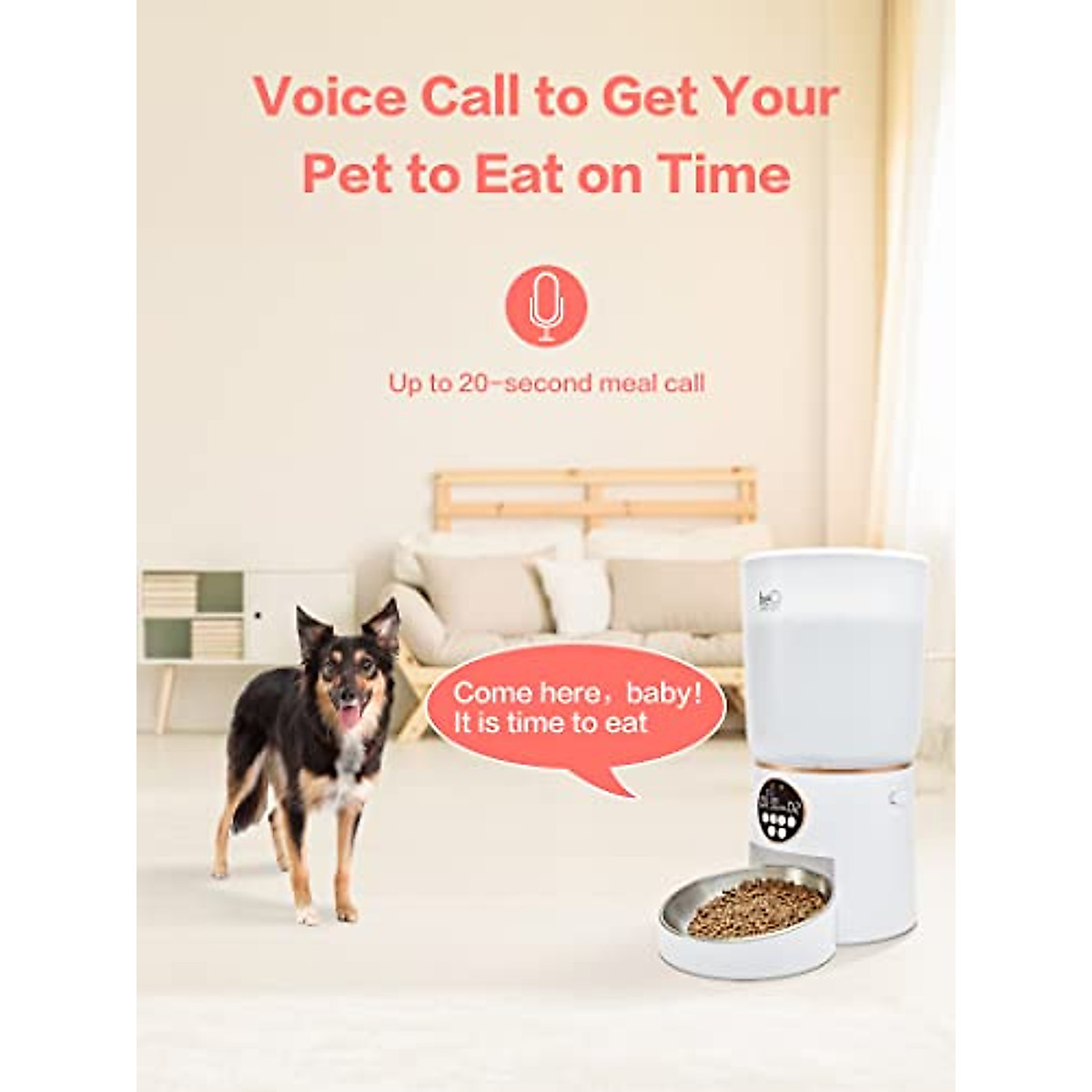 beQ 5L Automatic Cat Feeder, Timed Dog Feeder for Dry Pet Food with Stainless Steel Bowl, Twist Lock Sealed Lid and Desiccant Dag, 1-6 Meals Per Day, 20-Second Voice Recording, for Cats or Dogs.