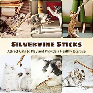 XGXN Cat Toy with Silvervine for Cats, Silvervine Sticks Interactive Cat Toys for Indoor Cats, Edible Catnip Cat Chew Toys for Cats Lick, Kitten Teeth Cleaning and Fresh Breath (3 Packs)