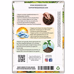 Seed Needs, Jamaican Yellow Hot Pepper Seeds for Planting (Capsicum chinense) Twin Pack of 60 Seeds Each - Heirloom, Non-GMO & Untreated