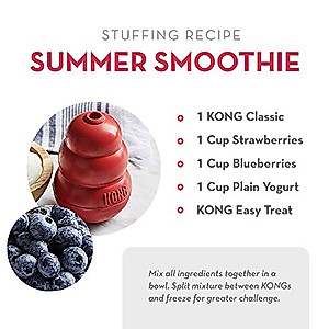 KONG - Easy Treat - Dog Treat Paste - 8 Ounce - Peanut Butter