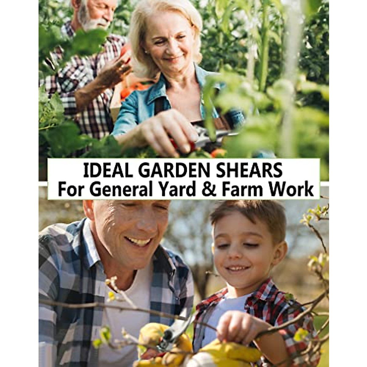 Pruning Garden Shears,Three Wood Plant Scissors for Gardening,Branch Cutter,Tree Trimmer,Bypass & Flower Pruners,Heavy Duty Hand Clippers Snips Secateurs