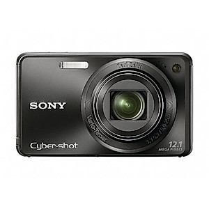 Sony Cyber-shot DSC-W290 12.1 MP Digital Camera with 5x Optical Zoom and Super Steady Shot Image Stabilization (Black) (Discontinued by Manufacturer)