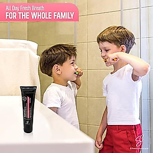 SilverCeuticals Toothpaste - Bubble Berry - Contains 25ppm Silver - Coral Calcium - Whitens - Kid Safe - Remineralizes - Whitening - Healthy Teeth & Gums - No Fluoride, SLS or Preservatives - 3.4oz