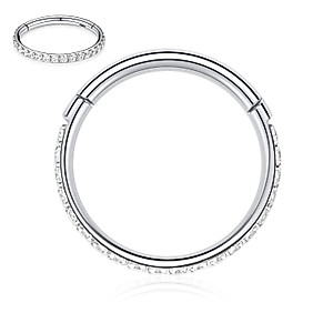 PEAKLINK Conch Piercing Jewelry G23 Titanium Cartilage Ring 16G Nose Hoop Rings with CZ Helix Earrings Seamless Hinged Segment Ring Conch Ring Cartilage Earrings 8mm Nose Hoop Jewelry Silver