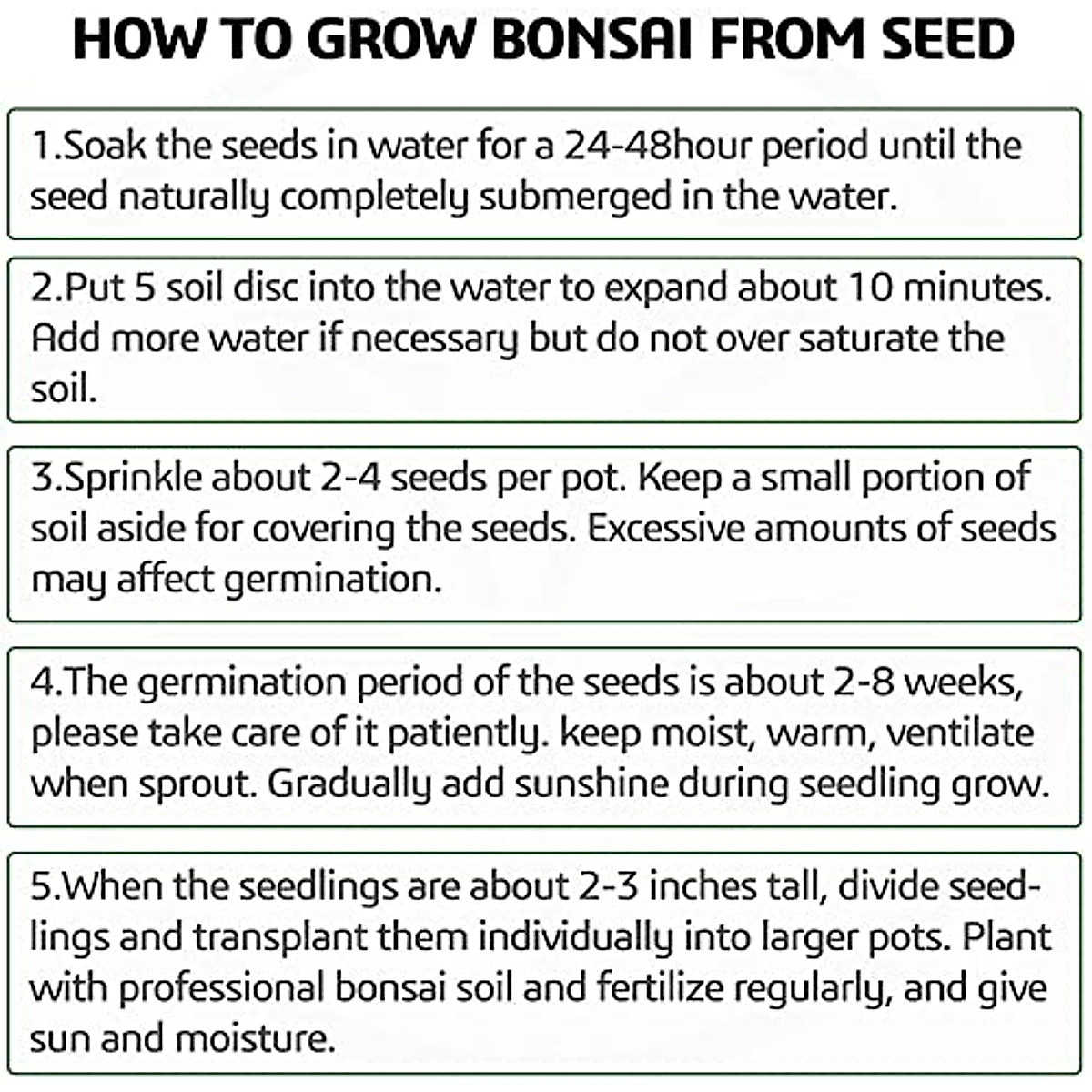 Bonsai Tree Kit, 4 Bonsai Tree Seeds with Complete Growing Kit & Wooden Planter Box, Indoor Bonsai Tree Starter Kit, Great Potted Plants Growing DIY Gift for Adults