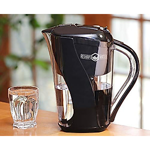 Reshape Water Pitcher Filter Replacement Cartridge (2 Pack)