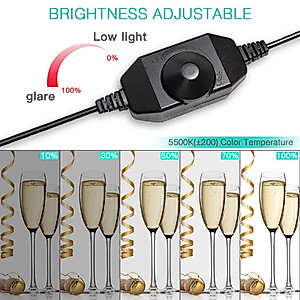 FOSITAN Photo Box, 24''x24''x24'' Portable Photo Studio Professional Light Box 126 LED Brightness Dimmable Shooting Tent with 8 Backdrops for Product Advertising Like Jewellery, Food, Bags, Shoes