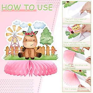 Amylove 10 Pcs Pink Farm Animals Party Supplies Girl Pink Barnyard Birthday Party Decorations Farm Animal Honeycomb Centerpiece for Table Birthday Baby Shower Party Decorations