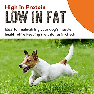 Gaines Pet Natural Cow Ear Dog Treats - Grass-Fed, Free-Range, High Protein, Low Fat, Promotes Dental Health, Suitable for All Dog Sizes and Breeds, 40 Count