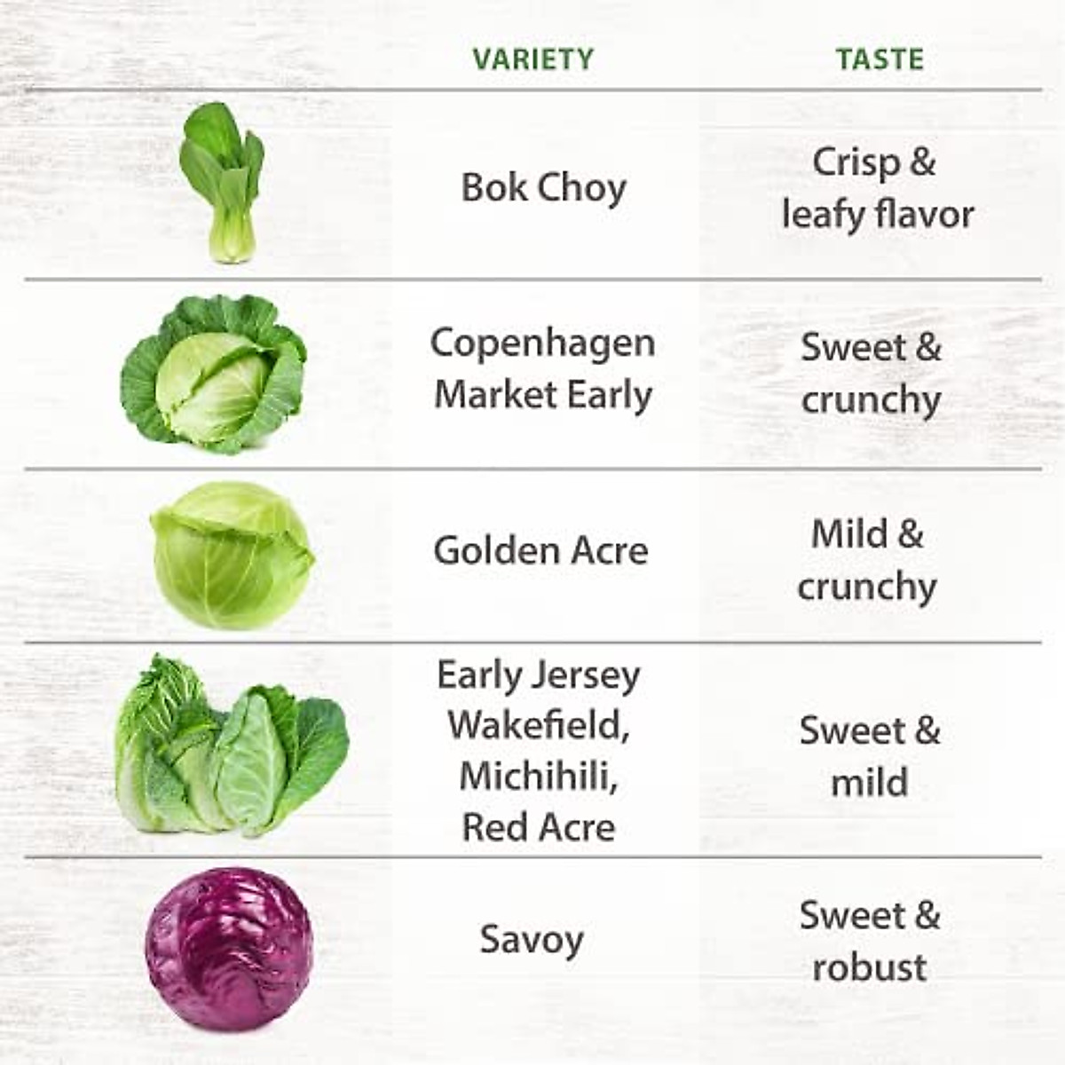 7 Cabbage Seeds for Planting - 2000+ Heirloom & Non-GMO Seeds - Golden Acre, Bok Choy, Savoy, Michihili, Red Acre, Copenhagen Market, Jersey Wakefield Cabbages - Garden Vegetable Lettuce Seeds