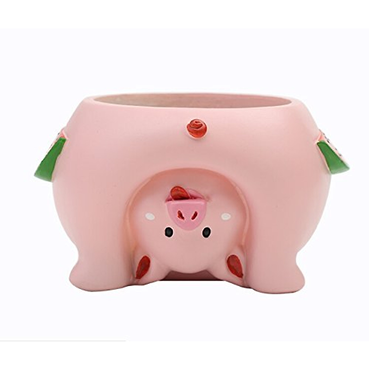 Youfui Cute Animal Flowerpot Animal Resin Succulent Planter Desk Mini Ornament (Pig)
