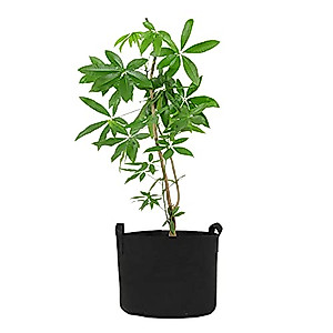 ZENPAC 5 Pack 20 Gallon Large Grow Bags with Handles, Fabric Planters for Outdoor Plants, Felt Planters for Flowers, Vegetables, Gardening, Bulk