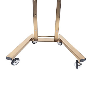 Xuthusman 2-Tier Foldable Tray Trolley Salon 4-Wheel Rolling Cart Utility Storage Shelves Holder with Service Tray Stainless Steel (Gold)