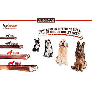 FOODIEPAWS All Natural 6-inch Jumbo Bully Sticks Odor Free USA Packed for Medium, Large Dogs- 100% Free-Range Grass-Fed Beef-Single Ingredient & Rawhide Free-Longer Lasting Dental Dog Chews 10 Pcs
