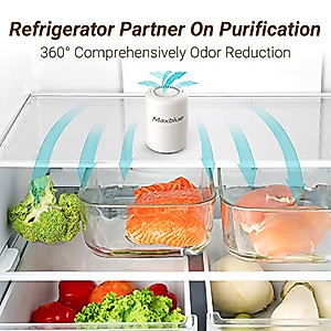 Maxblue Odor Eliminator, Air Freshener, Keep Foods' Freshness, Home Odor Absorber, Deodorizer and Eliminator for Refrigerator, Closet, Kitchen, Room, Eco Friendly