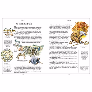 The Children's Illustrated Jewish Bible (DK Bibles and Bible Guides)