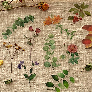 Knaid Flower Eucalyptus Plant Stickers Set (160 Pieces) - PET Transparent Waterproof Decorative Decals for Scrapbook DIY Crafts Album Bullet Journal Planner Water Bottles Phone Cases Laptops