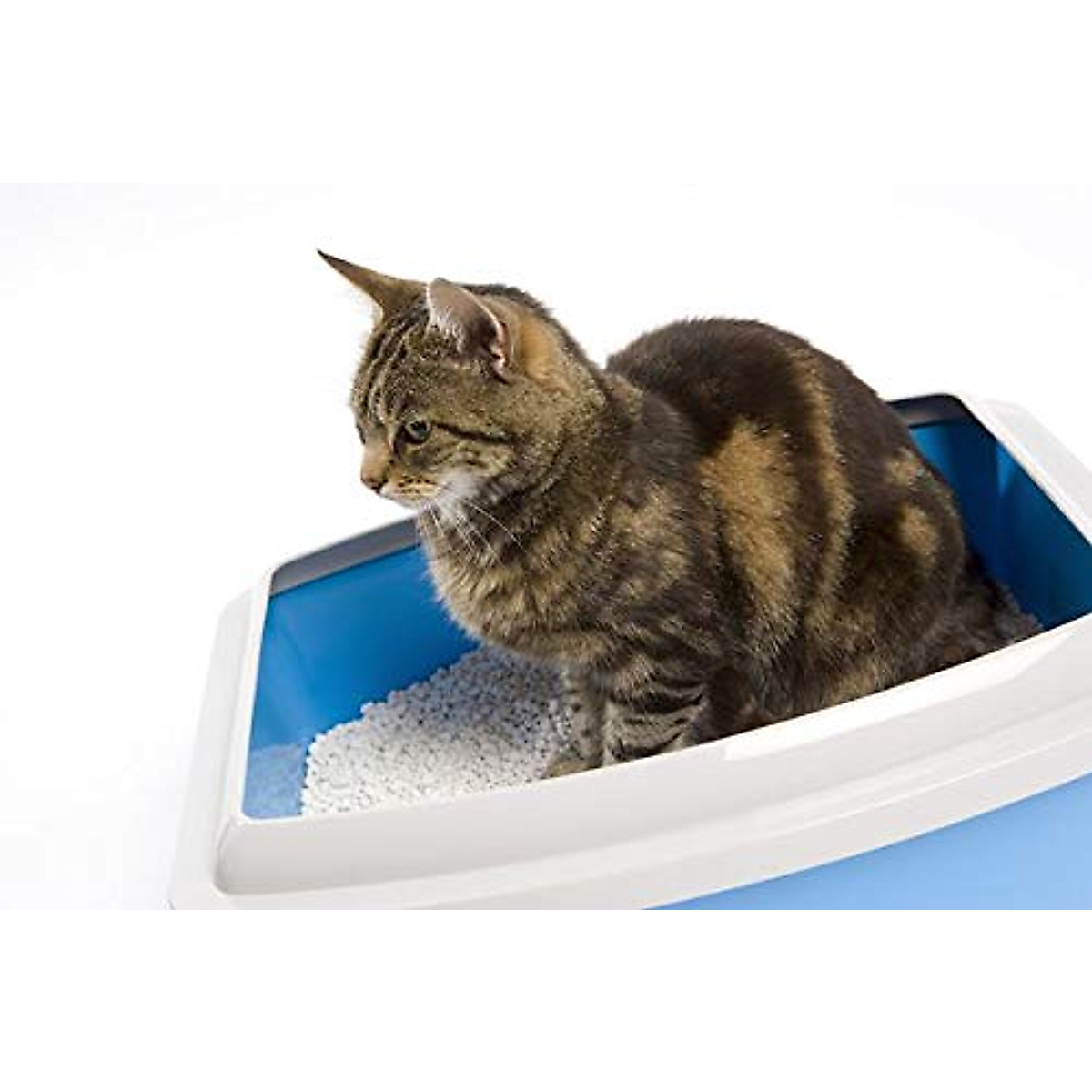 I LOVE MY PETS LLC cat Urinary Tract Health - CAT Urinary Tract Support - Natural Complex - Premium - Cranberry Supplements for Cats - 180 Treats (2 Bottles)