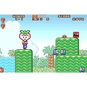 Super Mario Advance (Renewed)