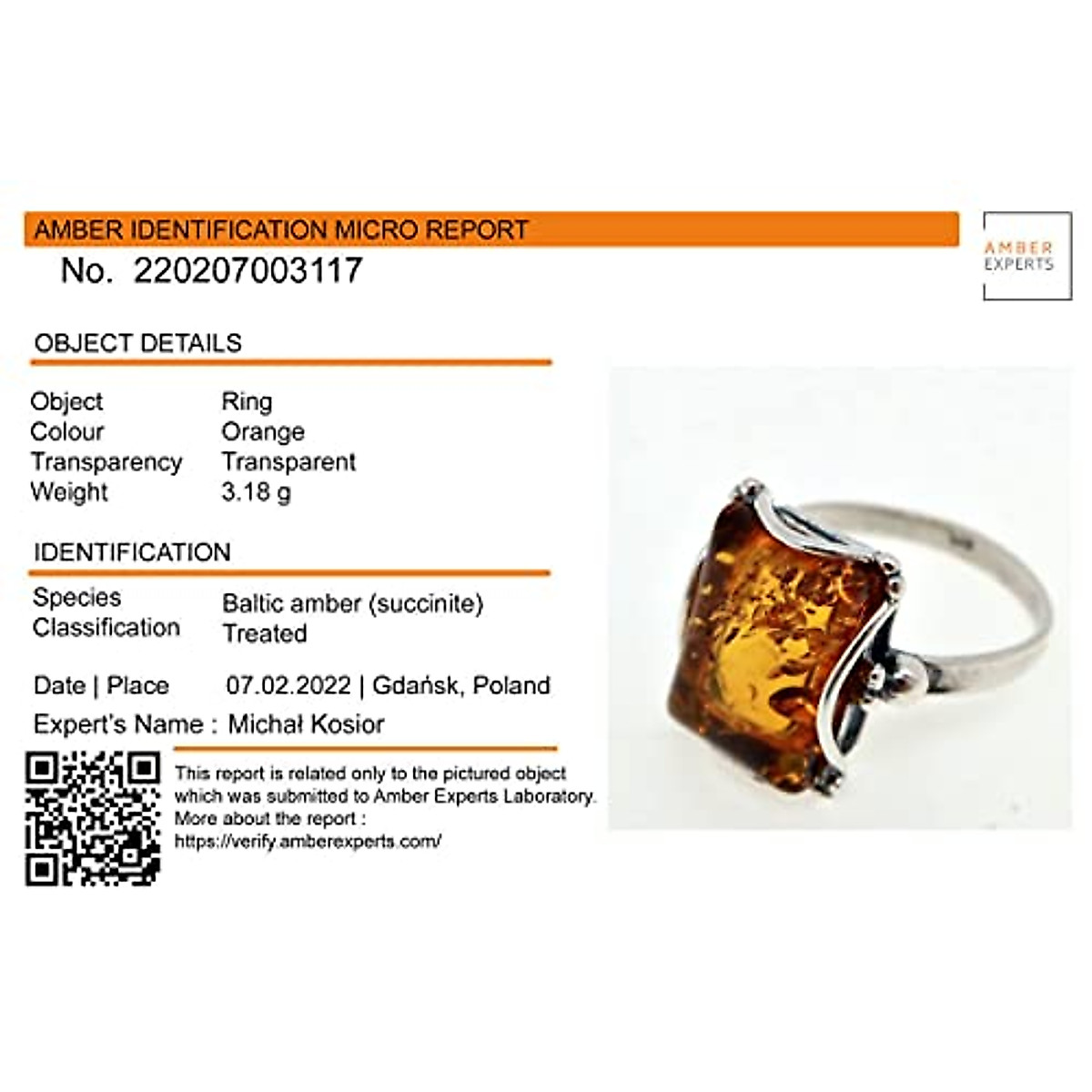 HolidayGiftShops Sterling Silver and Baltic Honey Amber Rectangle Adult Ring Makell- Size 10