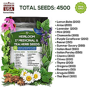 Medicinal and Tea Herb Seeds Collection - Over 4,500 Heirloom and Non GMO Garden Seeds for Planting Indoor, Outdoor & Hydroponic - Includes Basil, Lemon Balm, Chamomile, Lavender, and More