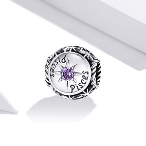 Pisces Constellation Charm 925 Sterling Silver Birthstone Charm Anniversary Charm Love Charm Lucky Charm for Pandora Charm Bracelet (Pisces (2.19-3.20))