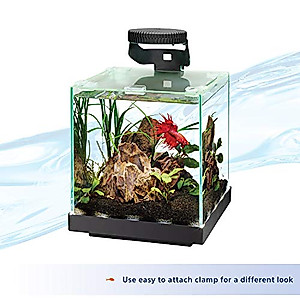 Aqueon Betta LED Light