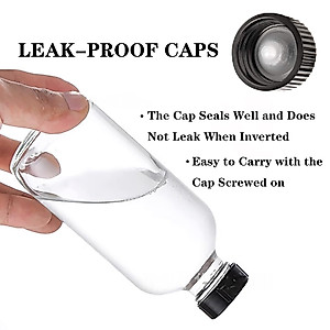 6 Pack Shot Bottles with Caps, 2 oz Glass Jars with Lids, Ginger Shots Bottles, Mini Glass Bottles or Decorative Bottles for Ginger, Vanilla Extract, Cinnamon, Honey, Cayenne, Wellness Shot, Hot Sauce