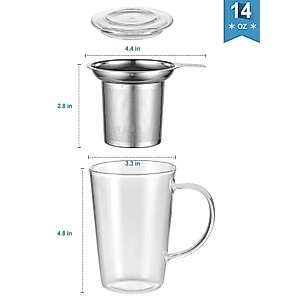 Enindel 3020.01 Glass Tea Mug with Infuser and Lid, Tea Cup, Clear, 14 OZ, GM001