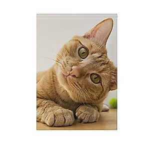 Hokkien Orange Cat Tilts His Head Garden Flag Banner 12 x 18 Inch Decorative Garden Flag for Outdoor Lawn and Garden Home Décor Double-Sided