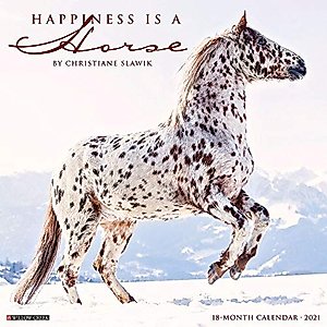 Happiness is a Horse 2021 Wall Calendar
