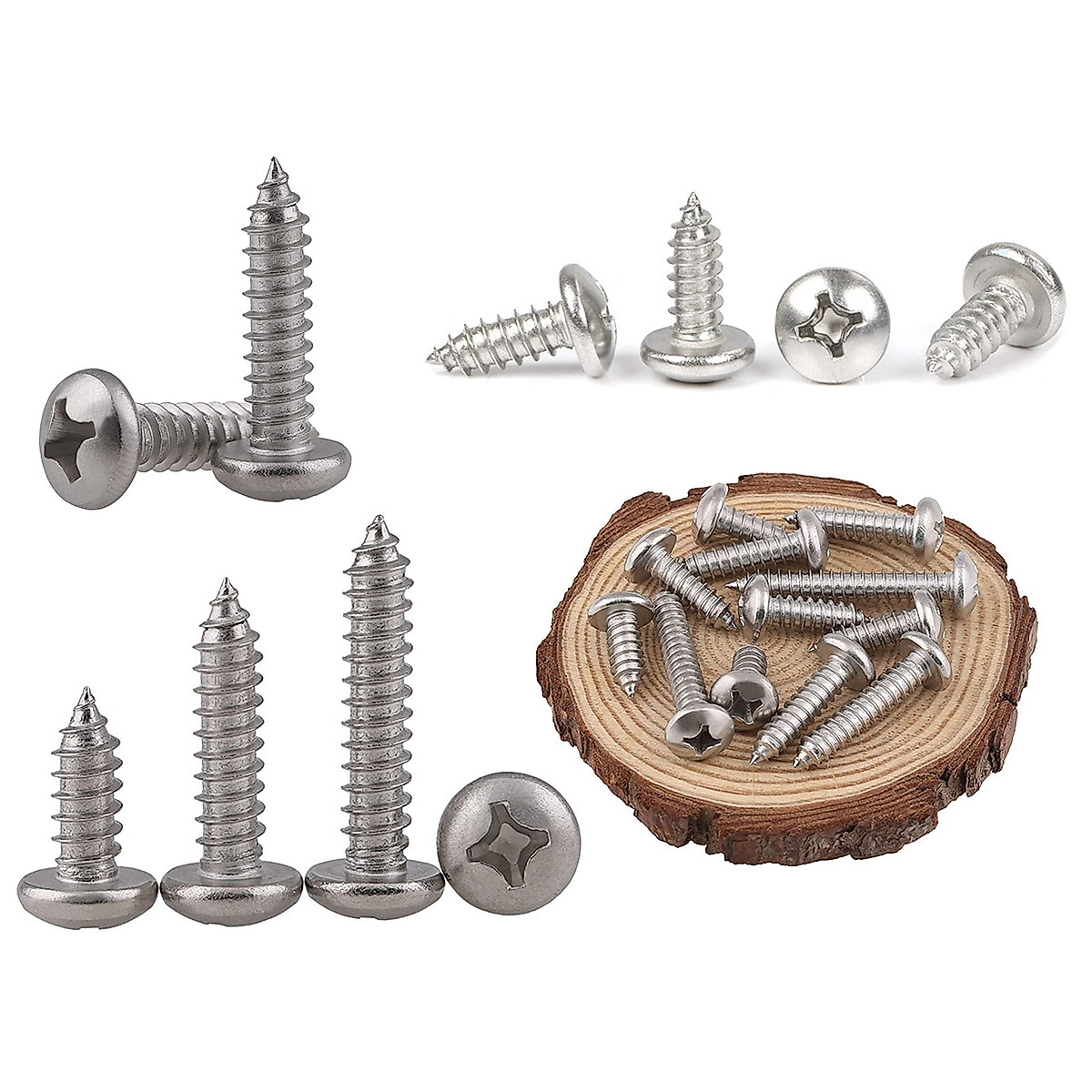 LBY 600pcs M2 M2.2 M2.6 M3 Pan Head Self-Tapping Sheetmetal Screw Assortment Kit, 12 Sizes, 304 Stainless Steel