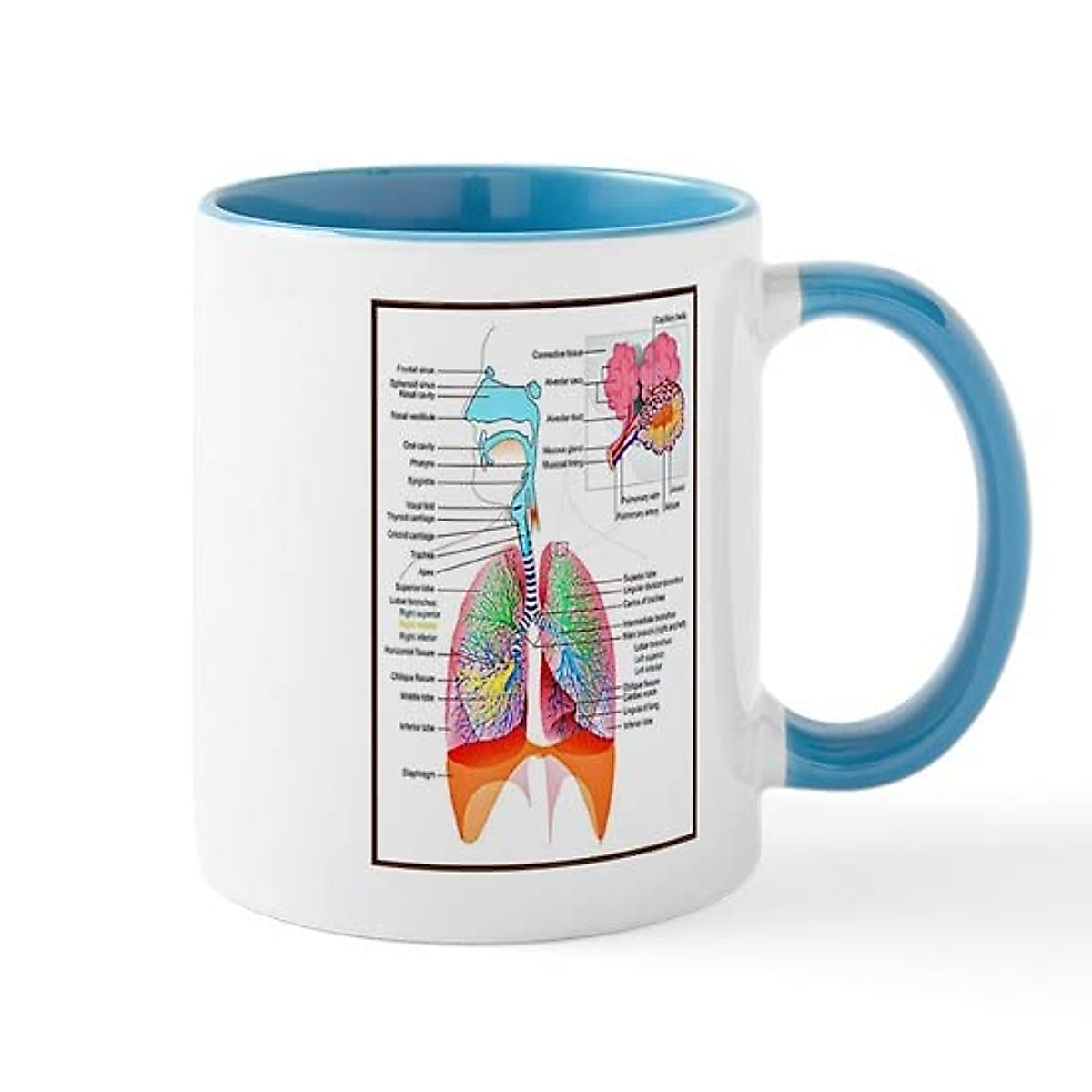 CafePress Respiratory System Mugs Ceramic Coffee Mug, Tea Cup 11 oz