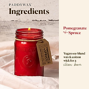 Paddywax Scented Relish Collection Soy Wax Artisan Candle in Glass Jar with Lid, 9.5-Ounce, Pomegranate + Spruce