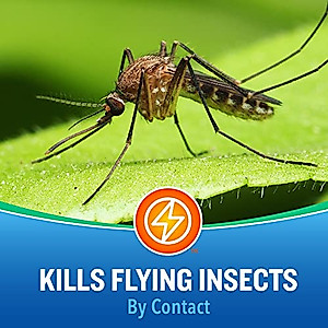 Cutter Essentials Outdoor Fogger, Safe Around Children & Pets, Kills Mosquitoes, Fleas & Listed Ants, 14 fl Ounce