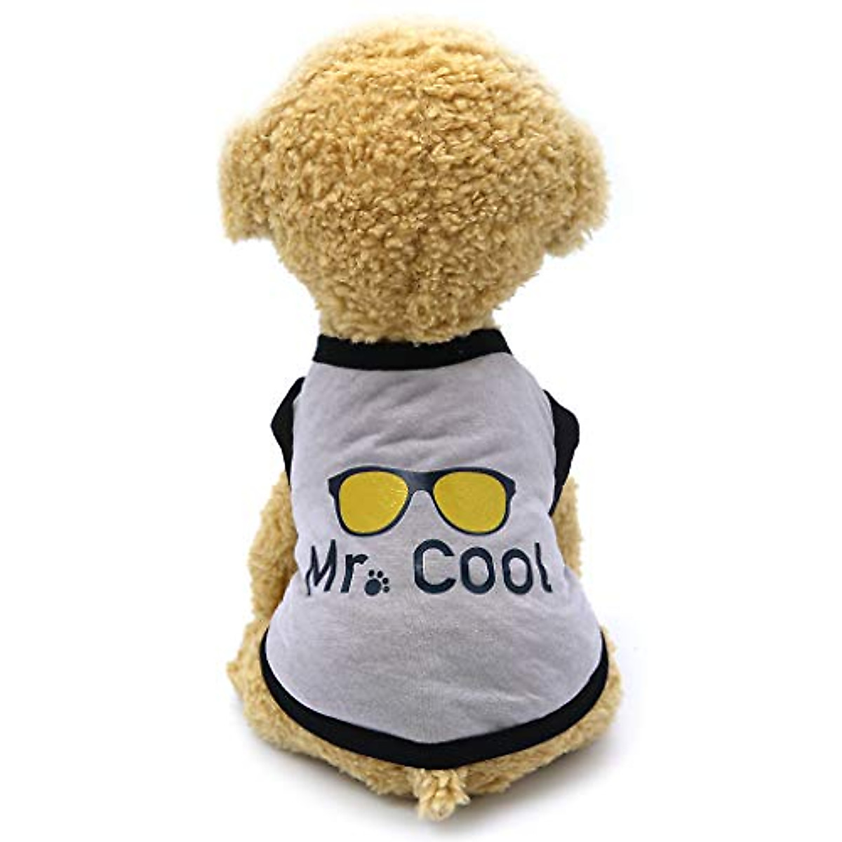 Howstar Pets Warm Coat Clothes Letter Dog Pet Painting Coat Shirt Cat Puppy Pet Clothes Dog for Teacup (Grey, XS)