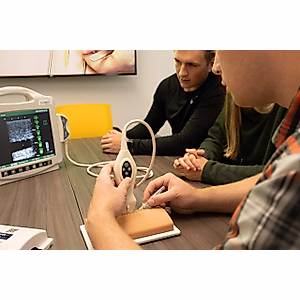 0705 - Vascular Access Ultrasound Phantom, Lightly pigmented