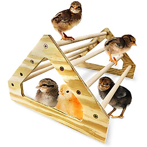 Backyard Barnyard Chick Perch Strong Wooden Jungle Gym Roosting Bar Made in USA!!! Chicken Toys for Coop and Brooder for Baby Chicks El Pollitos La Pollita Pollos Gallinas Polluelos