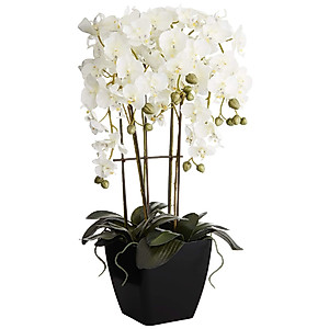 Dahlia Studios Potted Faux Artificial Flowers Arrangements Realistic White Phalaenopsis Orchid in Black Pot Home Decoration Living Room Office Bedroom Bathroom Kitchen Dining Room 25 1/2" High