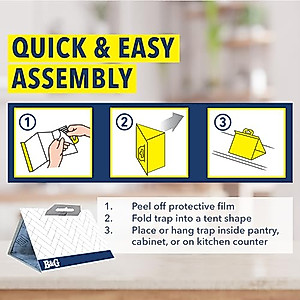 B&G Pantry Moth Traps with Pheromones Prime (2-Pack), Odorless Kitchen Moth Prevention, Indian Meal Moth Traps for House Pantry, How to Get Rid of Moths in House, Sticky Glue Food Moth Traps