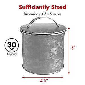 Amici Home Newport Galvanized Metal Canister | Dry Food Storage Container | Airtight Lid | 30 Ounce Capacity | Farmhouse Décor | Rustic Metal Canister for Kitchen Countertop (Silver)