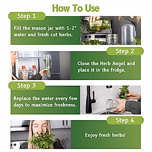 The Herb Angel Mason Jar Herb Lid - Fresh Herb Keeper - Herb Saver Pod for Cilantro, Parsley, Basil, Chives, Mint and More - Herb Storage Container for Refrigerator