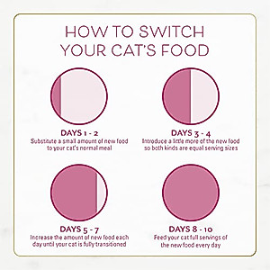 Purina Fancy Feast Dry Cat Food Filet Mignon Flavor with Seafood and Shrimp - 7 lb. Bag