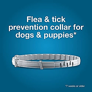 Seresto Large Dog Vet-Recommended Flea & Tick Treatment & Prevention Collar for Dogs Over 18 lbs. | 8 Months