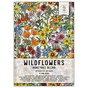 Seed Needs, Bulk 12,500 Seeds Honey Bee Wildflower Blend/Mixture (20 Species) Heirloom & Open Pollinated, Attracts Pollinators