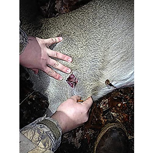 Fire-N-The-Hole Ring Crossbow Broadhead 100 Grain 3 Pack